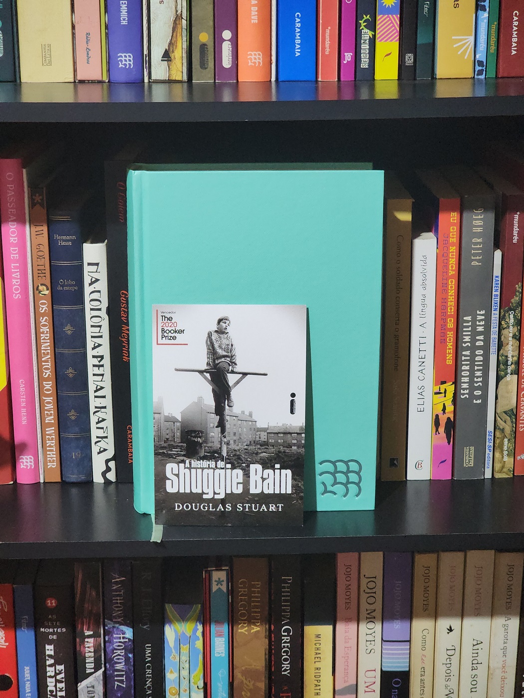 A História de Shuggie Bain (Douglas Stuart) | Blablabla Aleatório